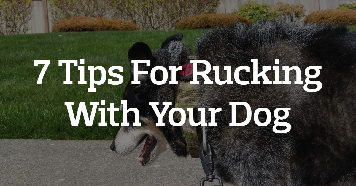7 Tips For Rucking With Your Dog - All Day Ruckoff