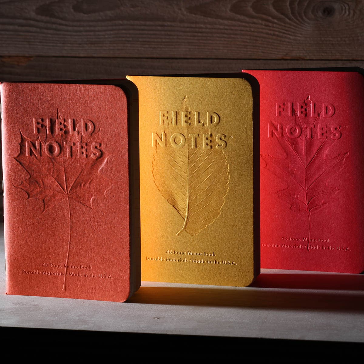 Field Notes "Autumn Trilogy" Notebooks - All Day Ruckoff